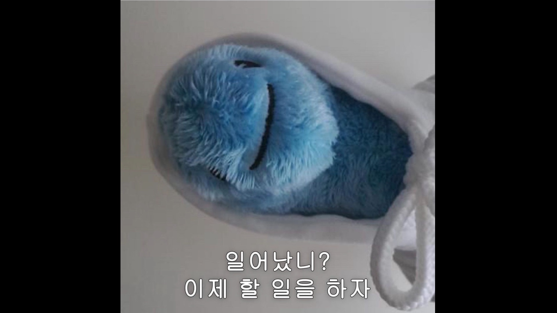 문토 모임: 일어났니? 이제 책을 읽자 [미라클모닝]